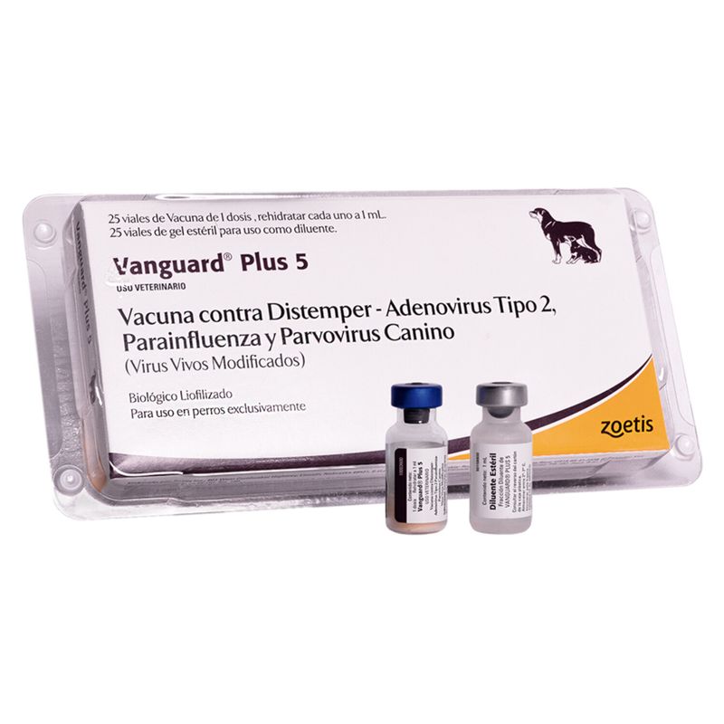 Vanguard Plus 5 Puppy